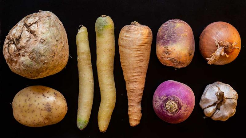 Identify Root Vegetables